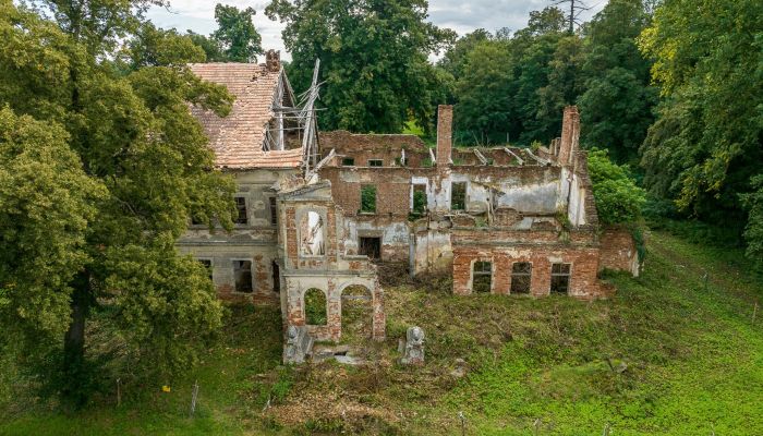 Ruine Chateau A Vendre